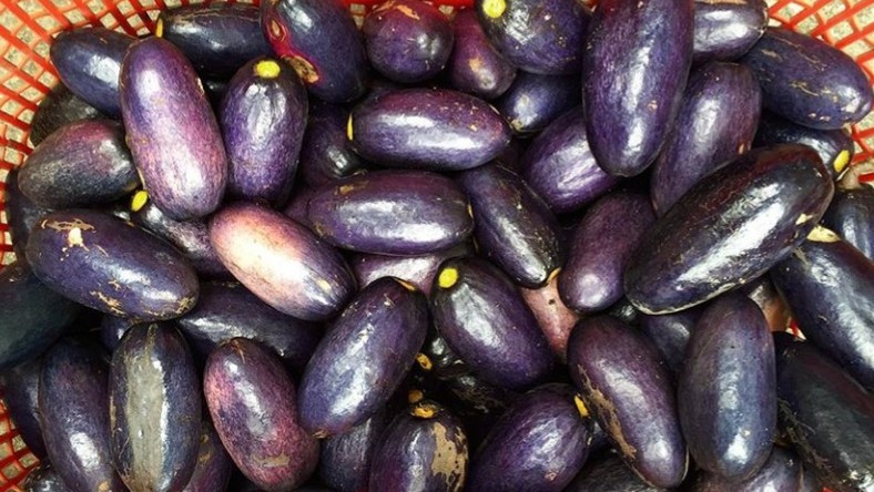 Ube: Health benefits of African or bush pear [ARTICLE] - Pulse Nigeria