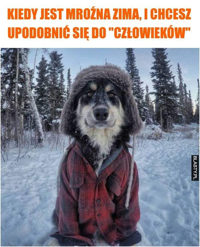 Zimno? Pora na rozgrzewającą dawkę śmiechu. Najlepsze memy o mrozie ...