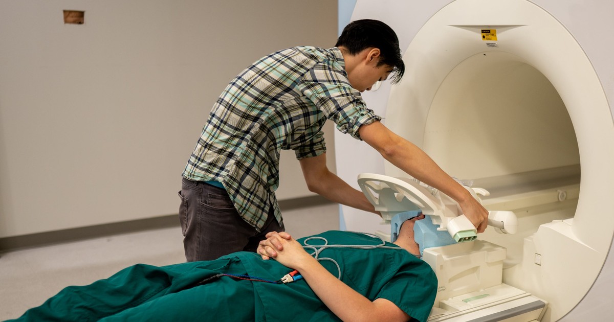 Scientists say they made a mind-reading AI that can turn brain scans ...