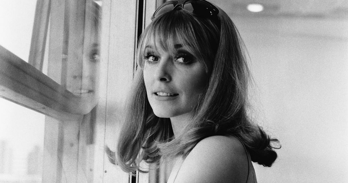 Śmierć Sharon Tate wstrząsnęła Hollywood. Ta historia nie przestaje ...
