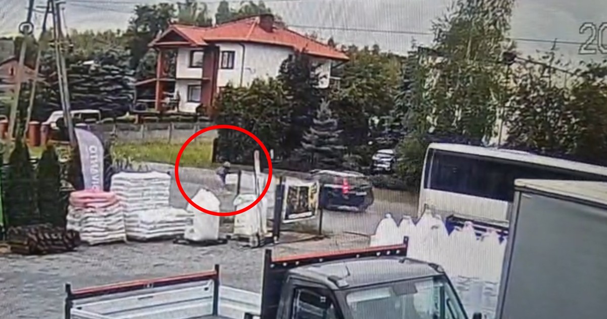 Przerażające nagranie. Dziewczynka wybiegła wprost pod koła [FILM] - Wiadomości