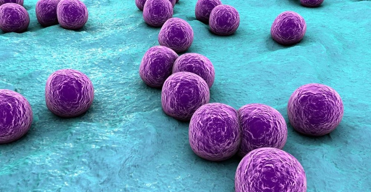 Gronkowiec złocisty - objawy zakażenia. Jak wygląda leczenie?