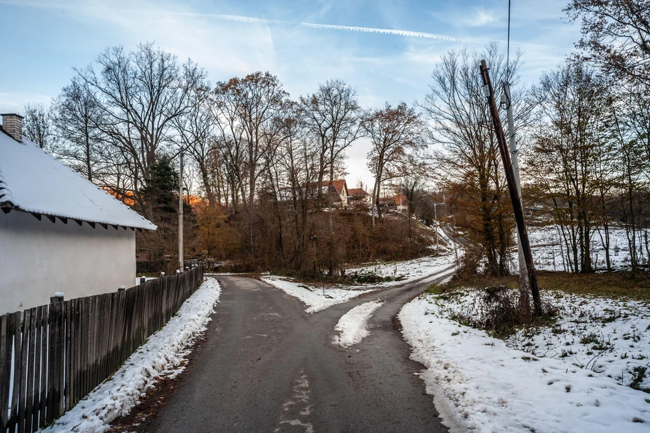 Molat pod opsadom divljih svinja: Meštani se noću zaključavaju, život ...