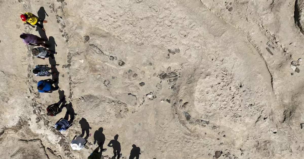 Ancient human footprints reveal multiple species interaction in Kenya ...