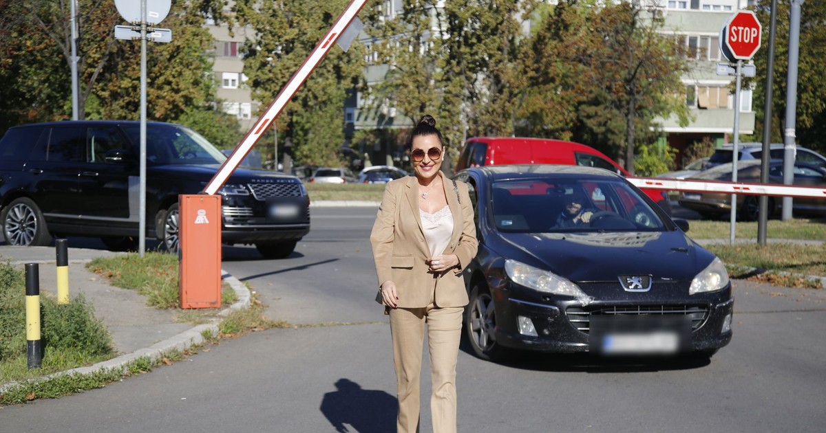 ceca raznatovic na sudjenju jelena karleusa - Blic