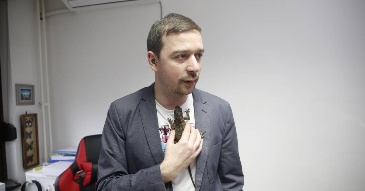 Stevan Dojčinović KRIK intervju Noizz