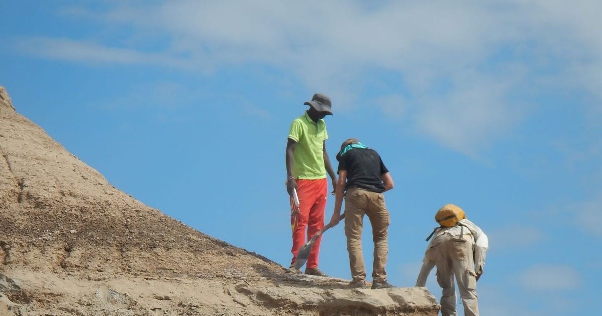 Oldest human fossils from eastern Africa are about 30,000 years older ...