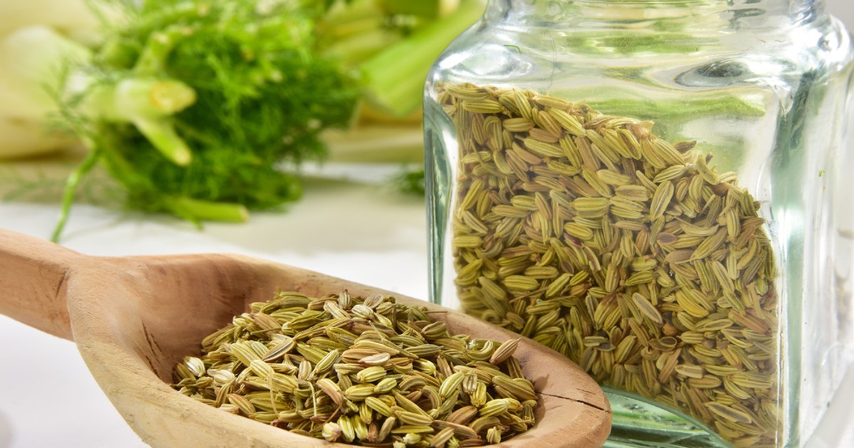 Koper włoski - właściwości, herbata, zastosowanie w kuchni