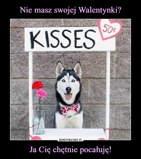 Najlepsze memy o walentynkach. Przeżyj dzień zakochanych z humorem ...