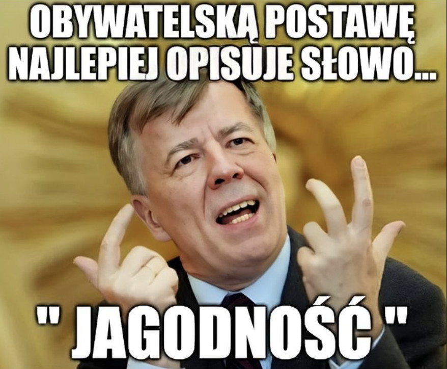 Znamy ostateczne wyniki wyborów. Oto najlepsze memy - Kobieta