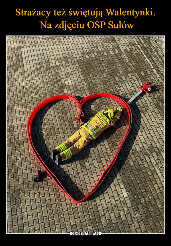 Walentynki z przymrużeniem oka. Oto najlepsze memy - Kobieta