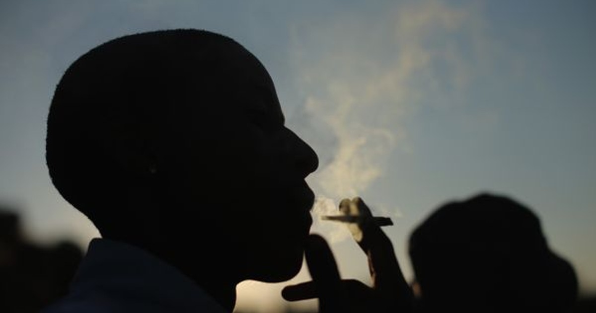 Exploring cannabis trends: Top 10 African nations by usage | Business ...