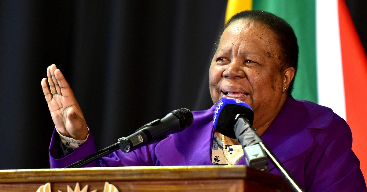 Former South African minister caught up in US visa crackdown | Business ...