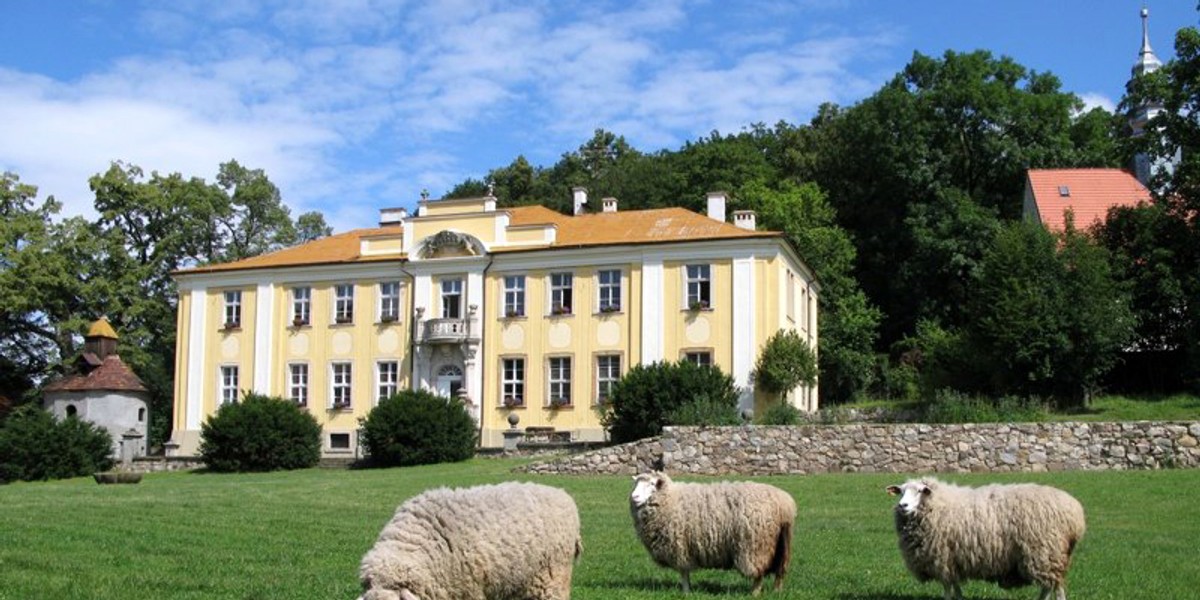 Luk Vanhauwaert: normalny gość z pałacu Lenno - Podróże