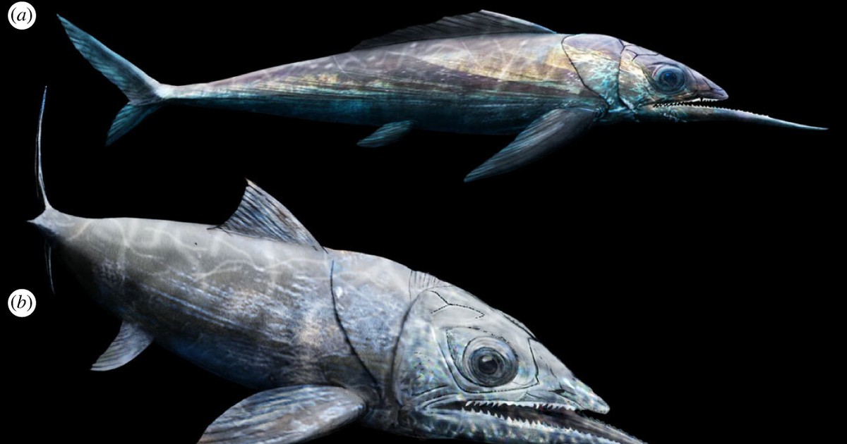 Polacy odkryli niezwykłą rybę pancerną sprzed 365 mln lat - Podróże