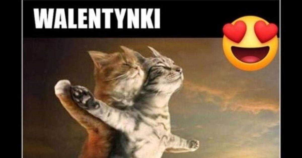 Walentynki z przymrużeniem oka. Oto najlepsze memy - Kobieta