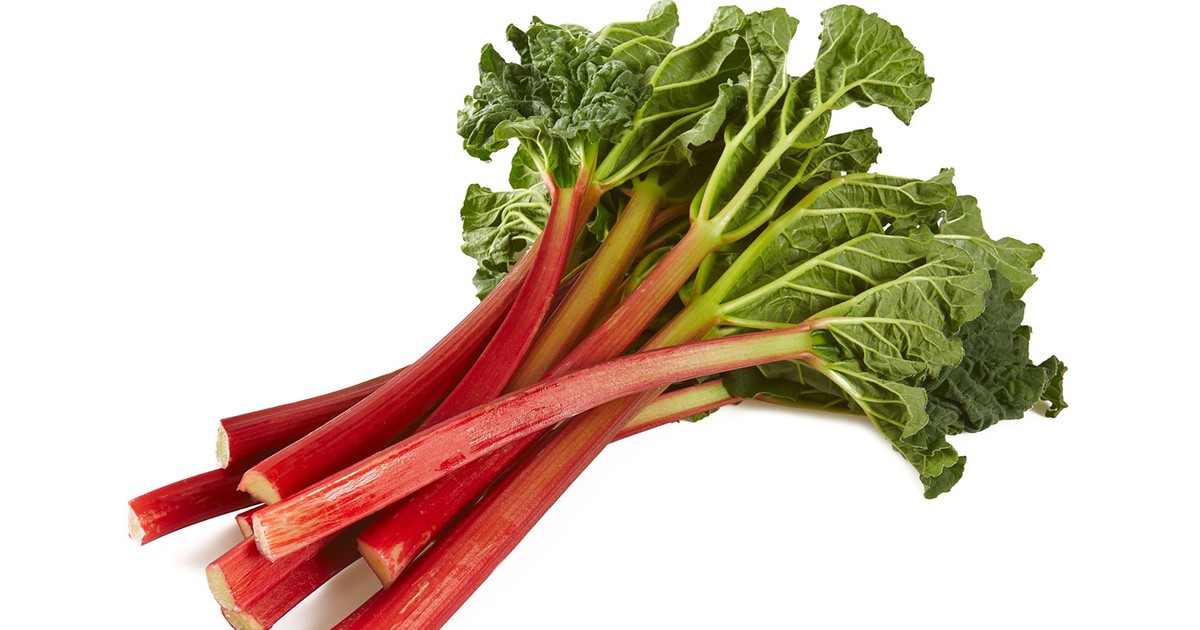 Rabarbar przeciwdziała żylakom i reguluje metabolizm. Jak go przyrządzić?