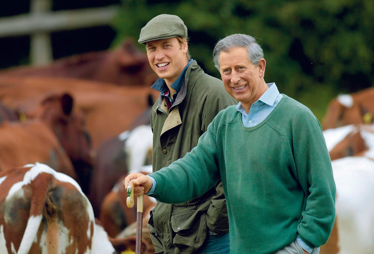 Król Karol III poglądy na ekologię, ochronę klimatu i kwestie ESG ...