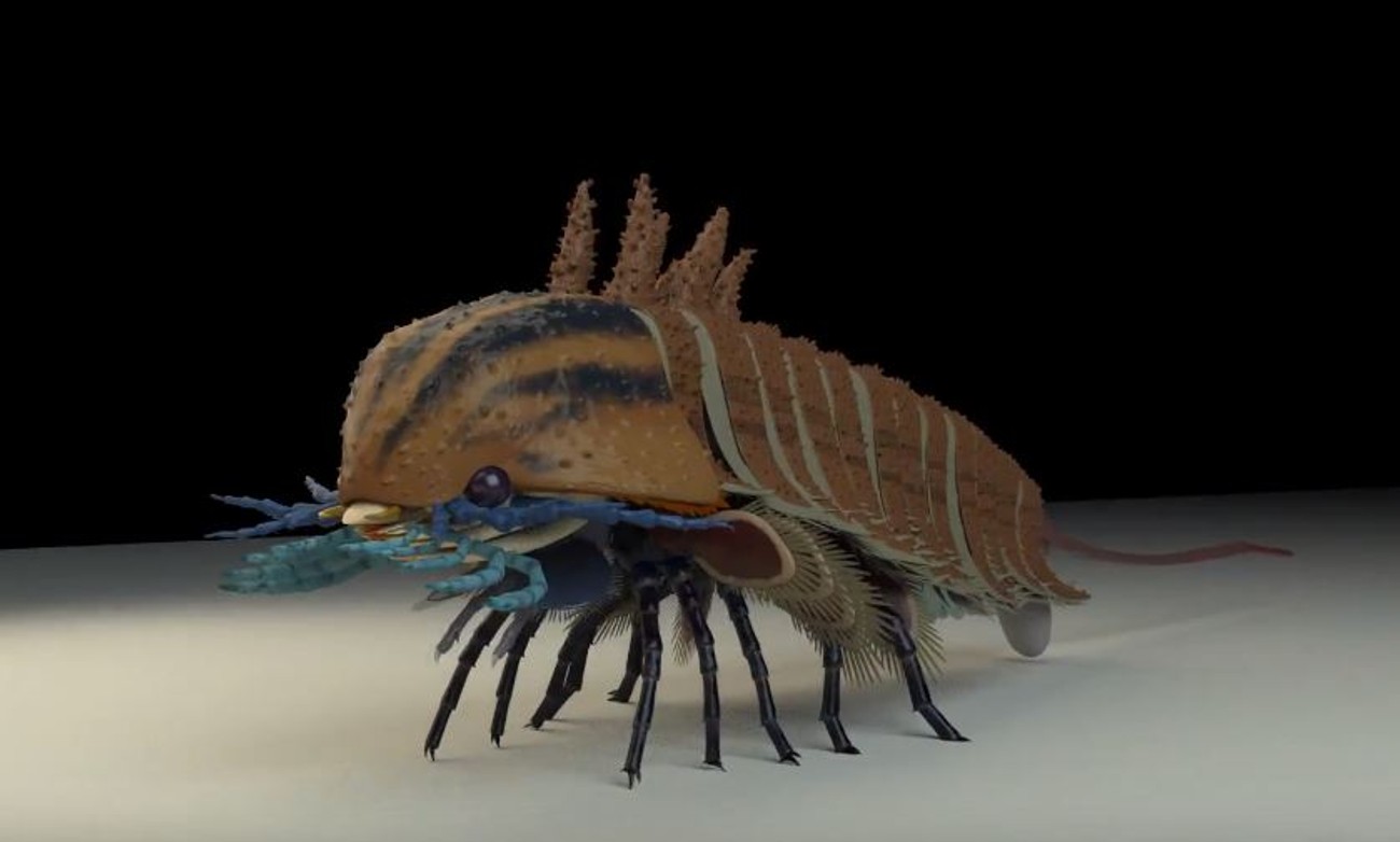 Pronađeno čudovište koje je živelo na Zemlji pre više od 500 MILIONA ...