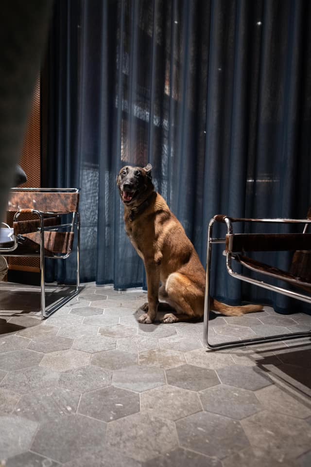 Ilyen ajándékot adott Magyar Péter Macron elnöknek - Blikk