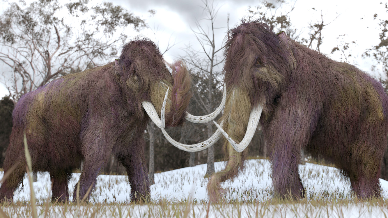 Egyre közelebb a mamutok feltámadása, 52 ezer éve élt állatból vontak ...