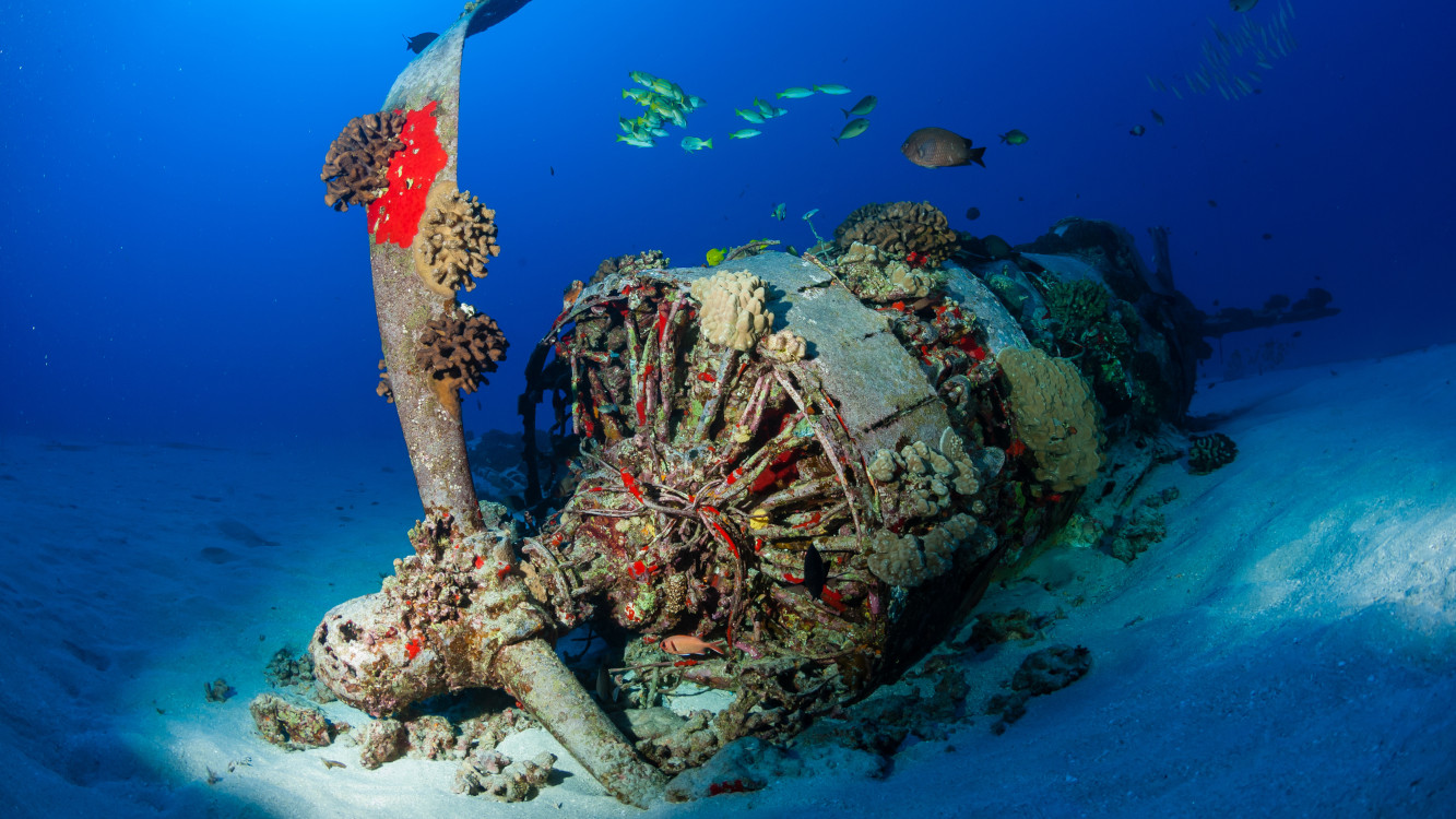 A tudomány megoldotta a Bermuda-háromszög rejtélyét. Itt a magyarázat - Blikk