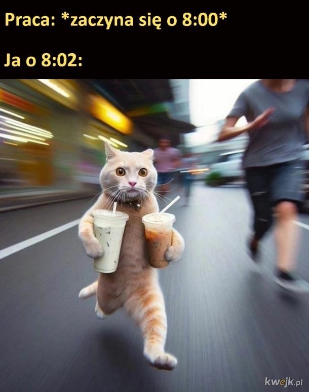 Najlepsze memy o pracy. Popłaczesz się ze śmiechu!