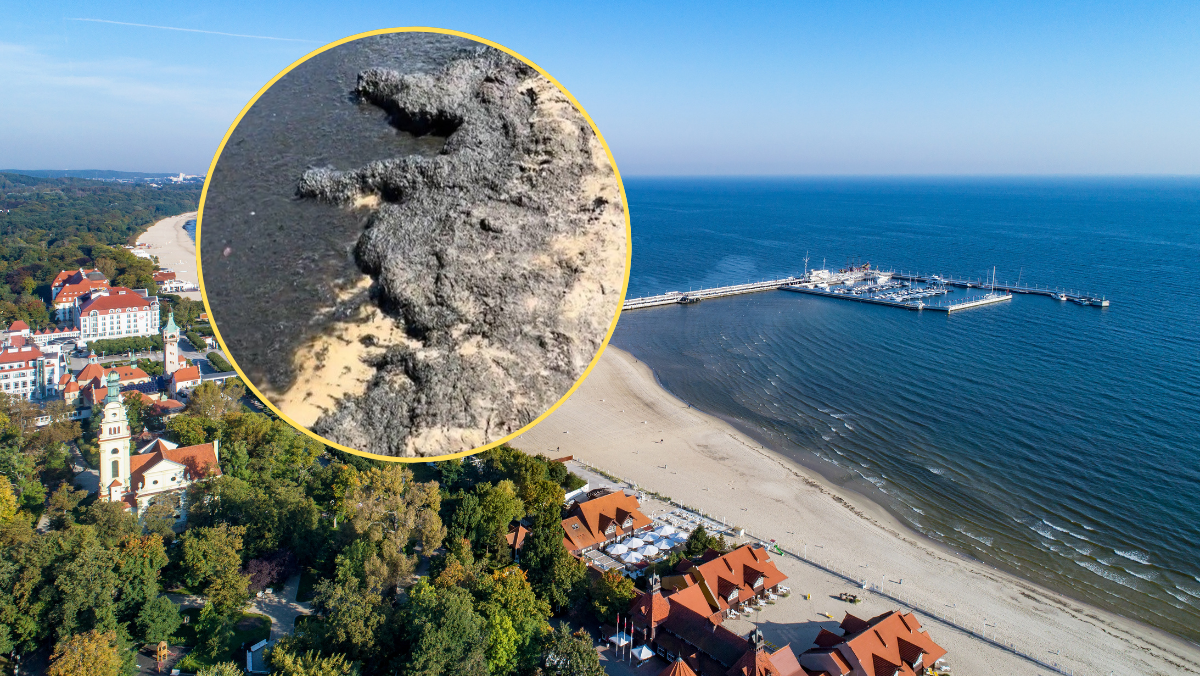 Pokazała, jak wygląda plaża w Sopocie. "Co to jest? Fujka"