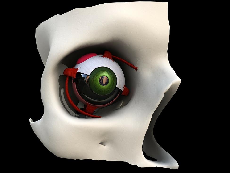 Dno oka - najnowsze informacje | Medonet