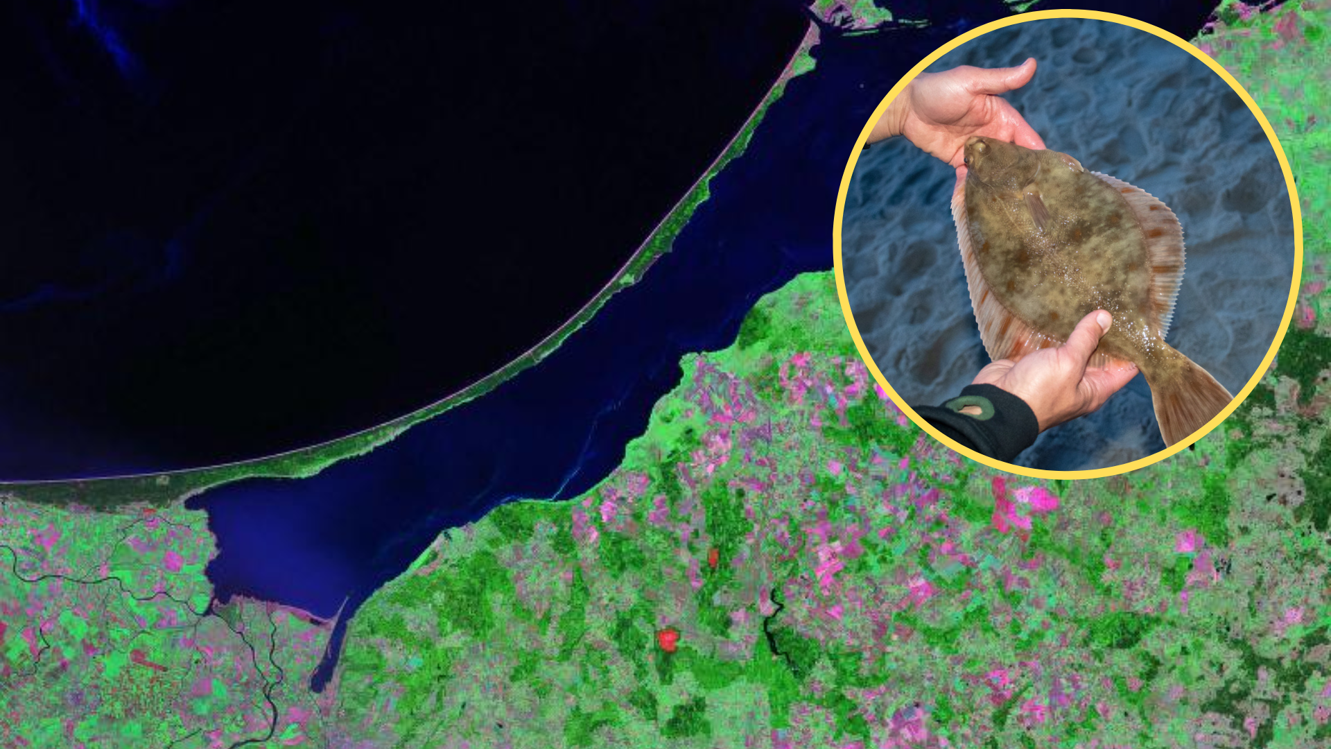 Toksyny - najnowsze informacje | Podróże