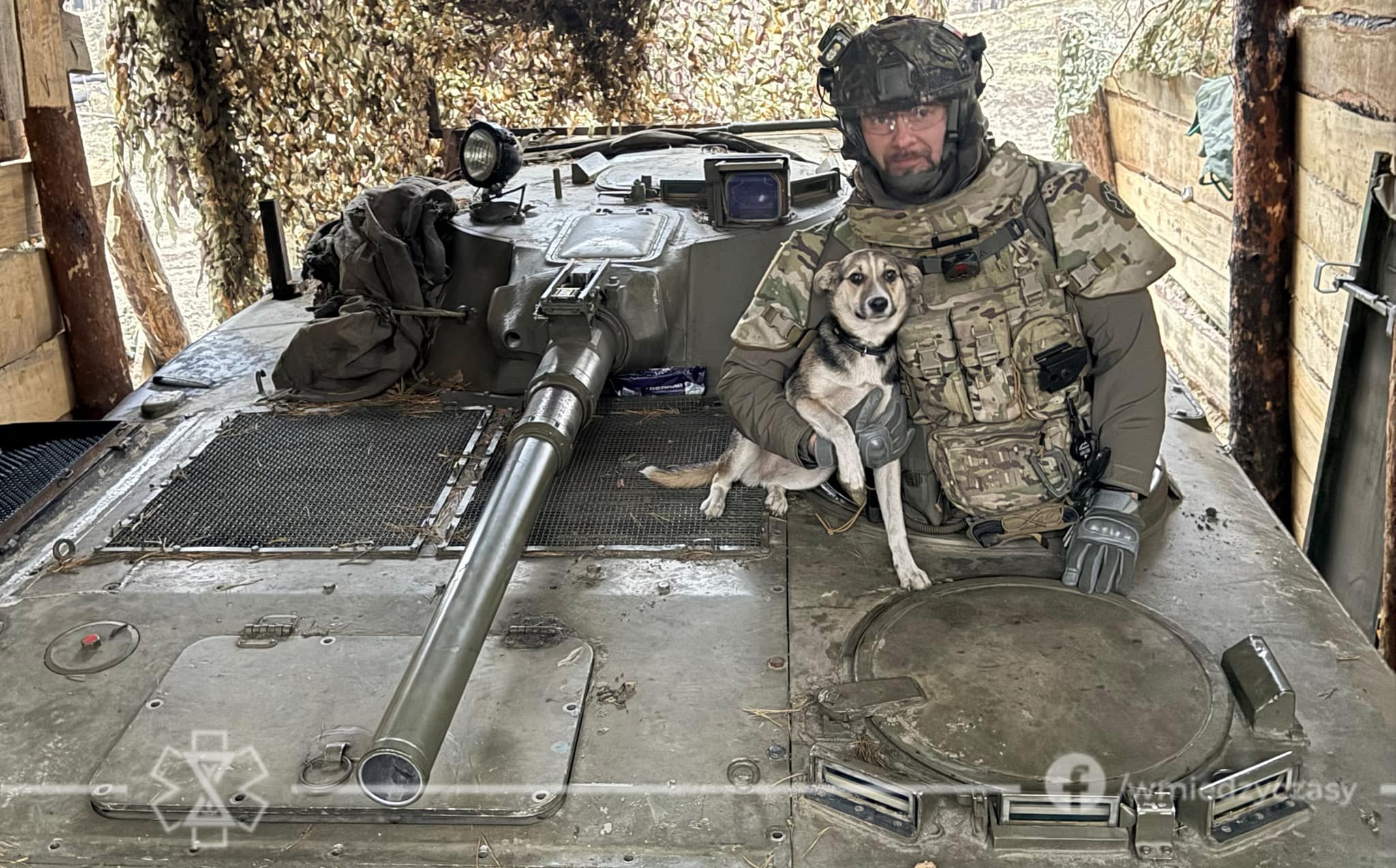 Damian Duda o zwierzętach na froncie. "Są jak system wczesnego ostrzegania"