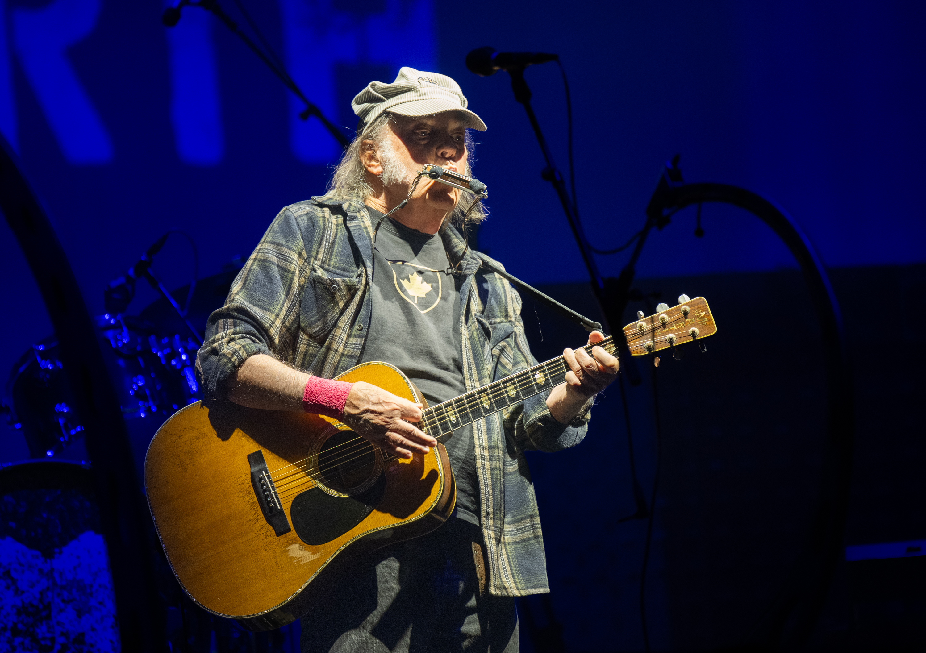 Neil Young - najnowsze informacje | Kultura