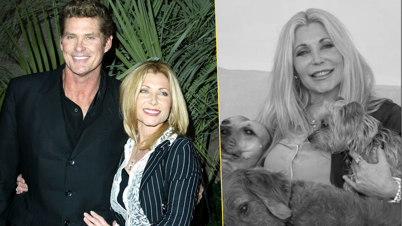 Nie żyje była żona Davida Hasselhoffa. "Opłakujemy i próbujemy przetrwać"