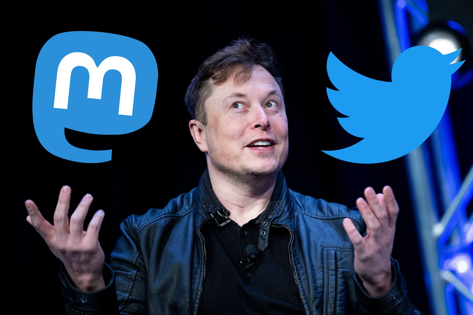 Mastodon. Czym jest i jak działa alternatywa dla Twittera