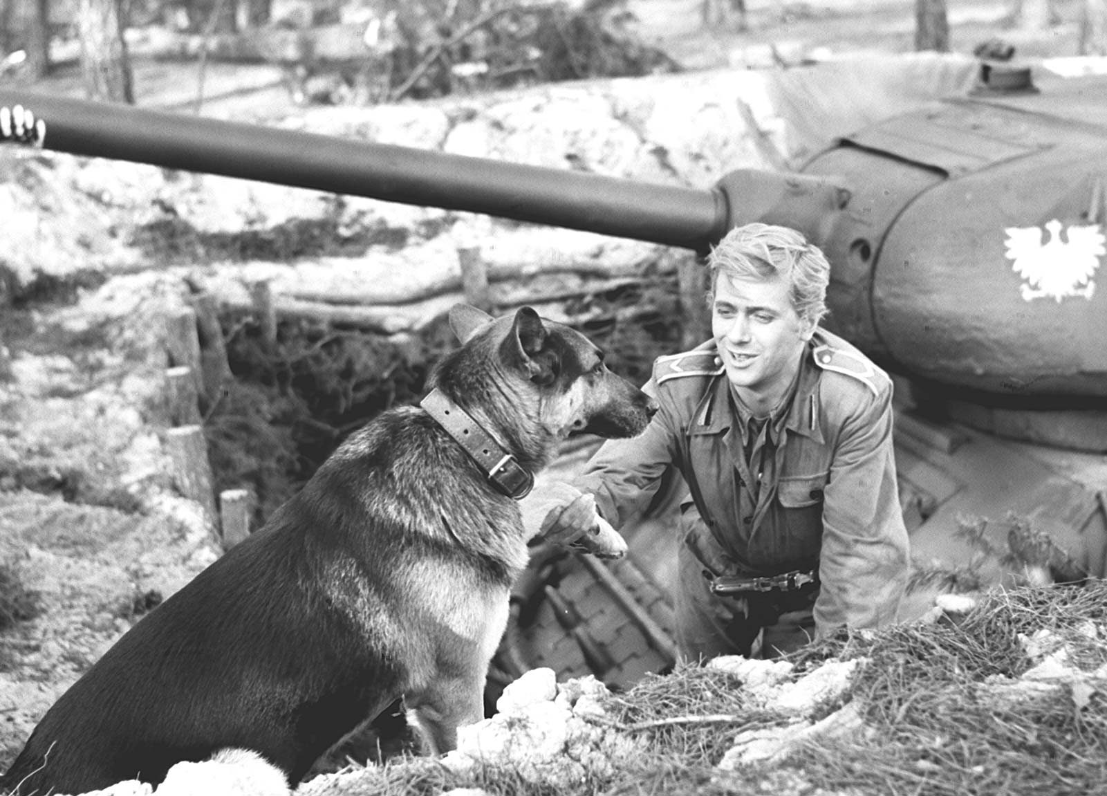 Najlepsze seriale i filmy z PRL-u. Tylko prawdziwy fan zbierze komplet ...