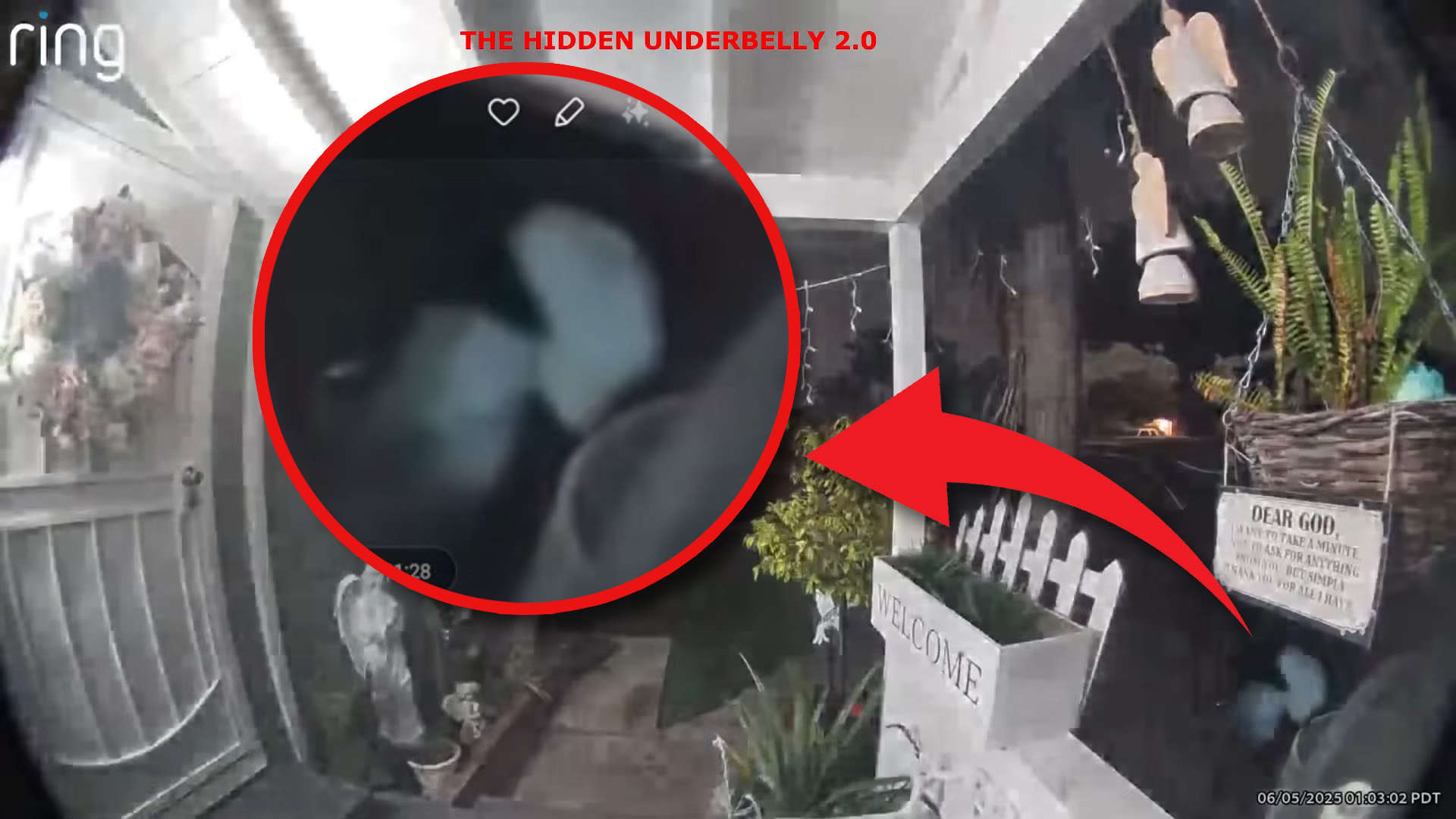 Tajemnicza istota w Compton. Nagranie z kamery wywołuje poruszenie