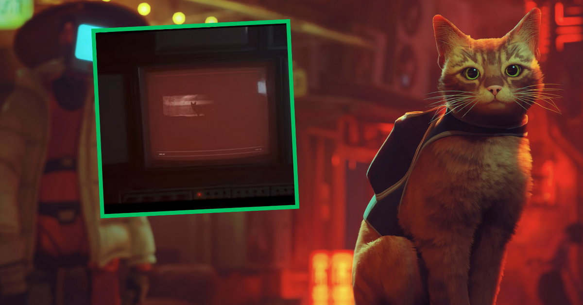 Trwają prace nad Stray 2? Wymowna zapowiedź twórców - Przegląd Sportowy ...