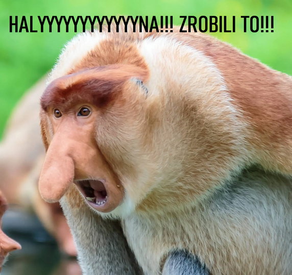 Raków Częstochowa coraz bliżej Ligi Mistrzów! Internauci błysnęli formą ...