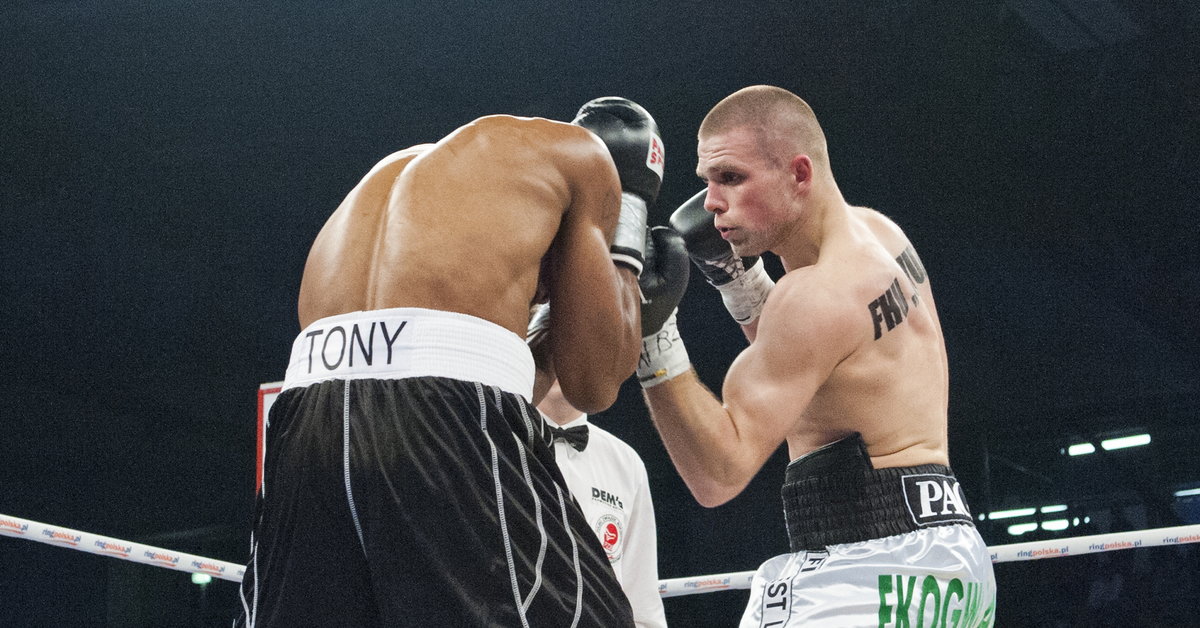 Wojak Boxing Night: zwycięstwa Polaków - Przegląd Sportowy Onet