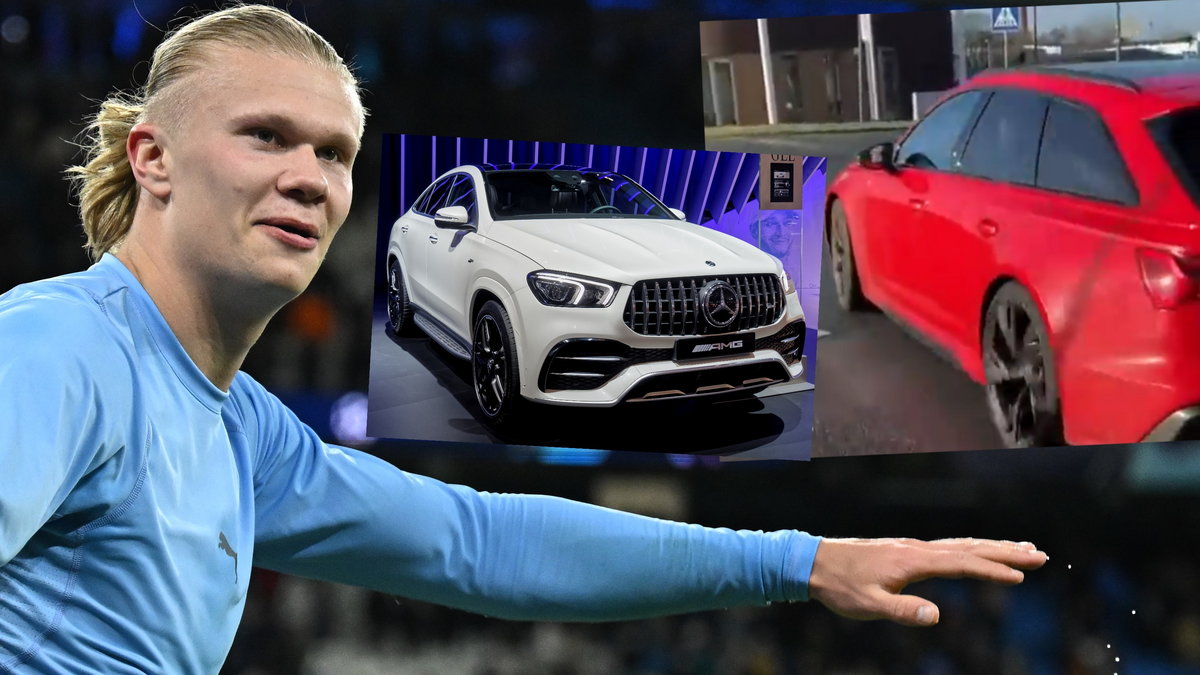 Erling Haaland trzyma bestie. Są warte fortunę - Przegląd Sportowy