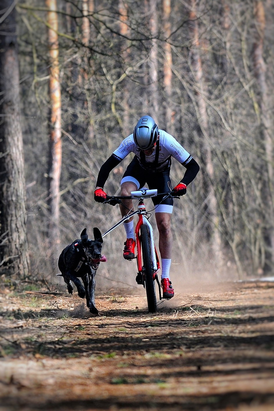 Psie zaprzęgi. Igor Tracz: nie raz słyszałem teksty typu: "sam się ...