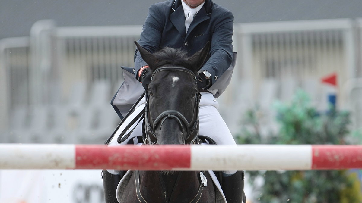 Blisko 200 koni w Sopocie - Przegląd Sportowy