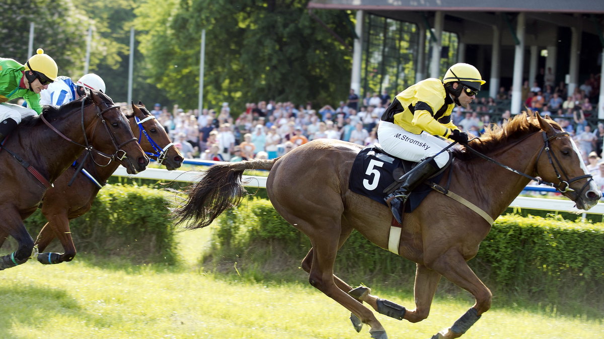 Sergeant Thunder wygrał wrocławski Crystal Cup - Przegląd Sportowy