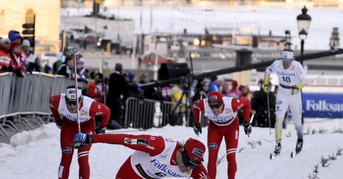 ZIO: niedźwiedzie straszą zawodników - Przegląd Sportowy Onet