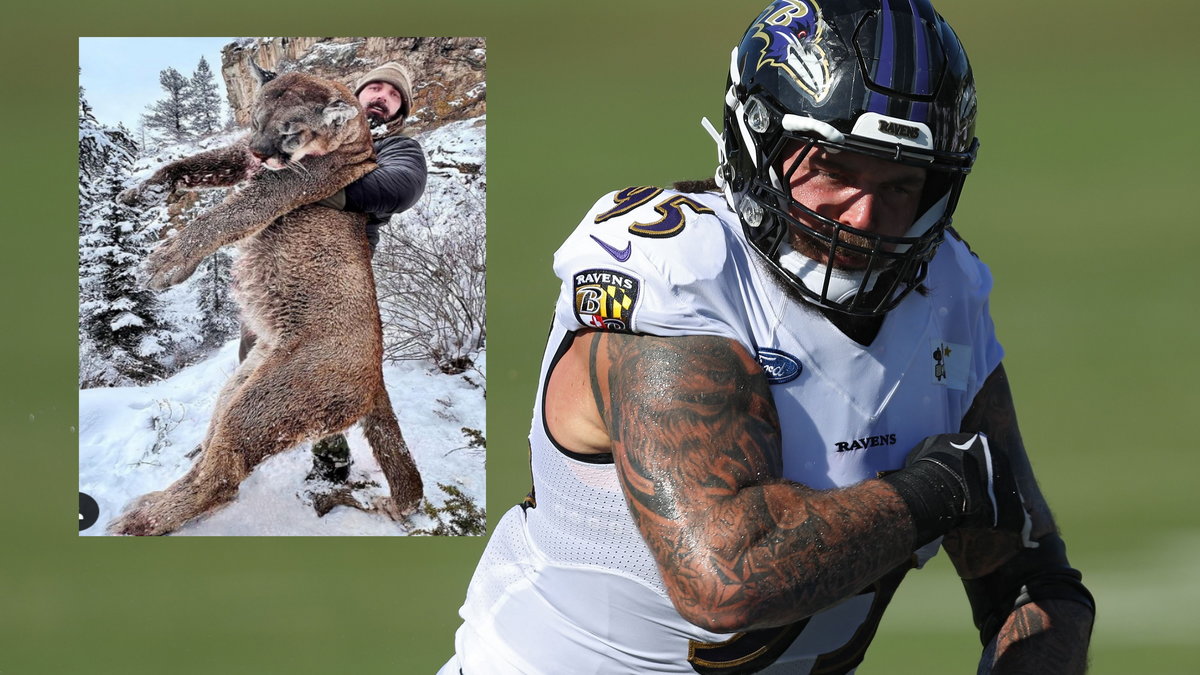 Były sportowiec zabił lwa górskiego. Zdjęcie wywołało poruszenie ...