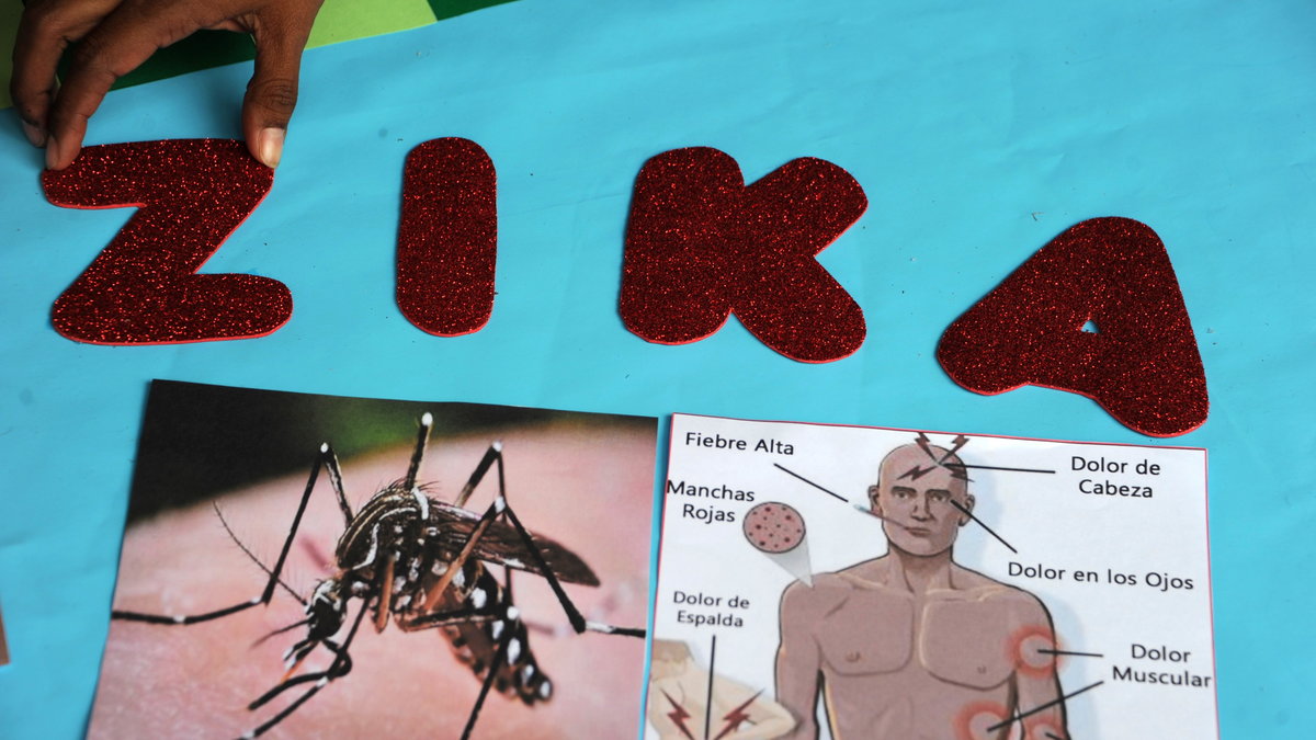 Zika vs. polscy olimpijczycy. "Lepiej być ostrożnym" - Przegląd ...