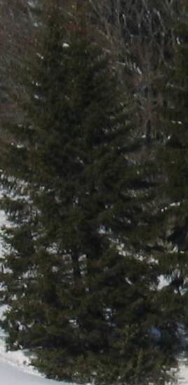 ME: medalowe żniwo Polaków - Przegląd Sportowy