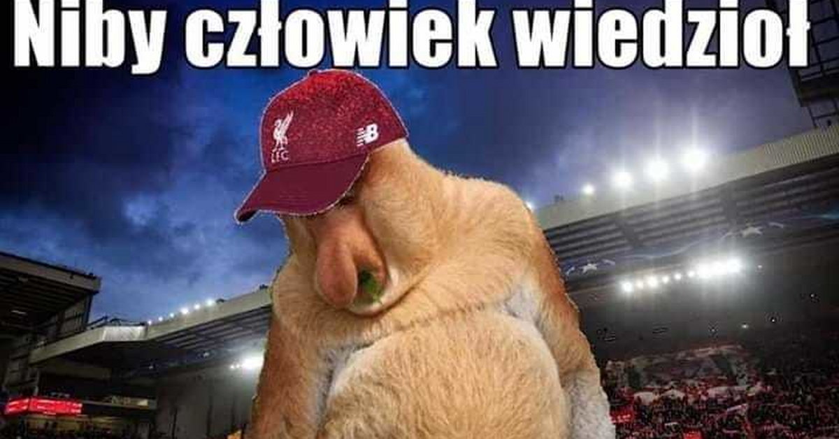 Co tam się działo?! Memy po meczu Liverpool — Real Madryt! - Przegląd ...