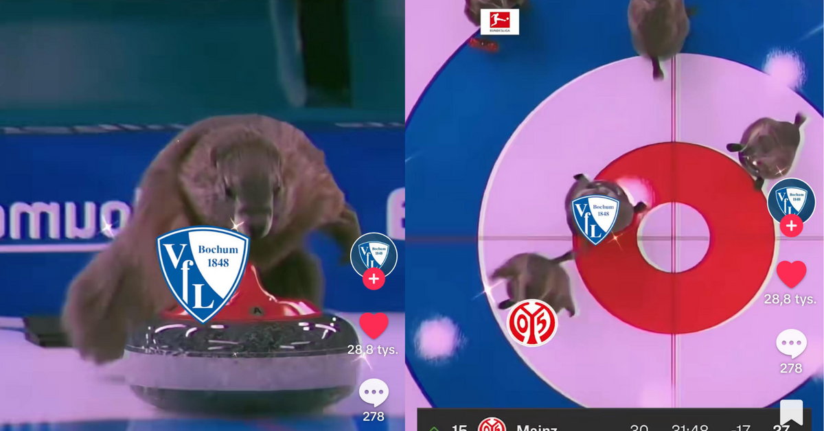 "Bober!". Niemcy wykorzystali hitowy polski filmik. I to jak ...