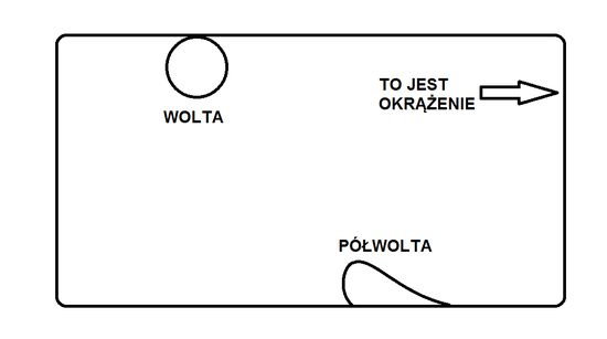 Jak wygląda wolta i pół wolta ? - Zapytaj.onet.pl